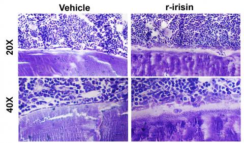 사이언스타임즈