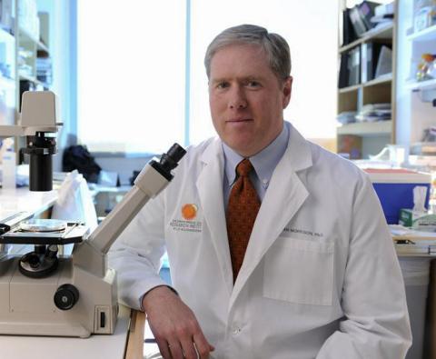 사이언스타임즈