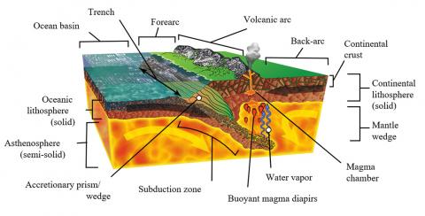 사이언스타임즈