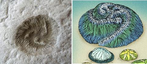 사이언스타임즈