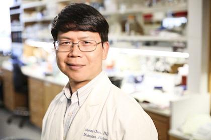 사이언스타임즈