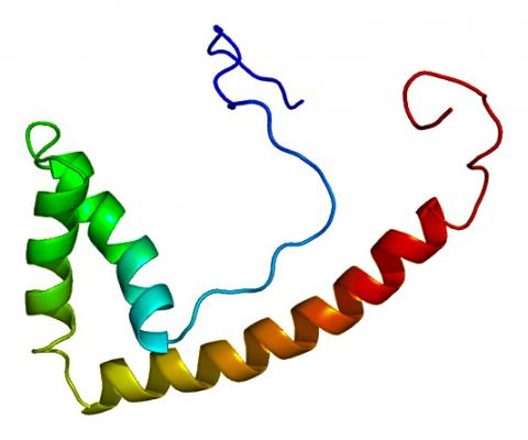 사이언스타임즈