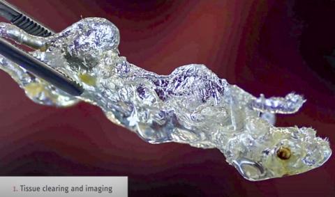 사이언스타임즈