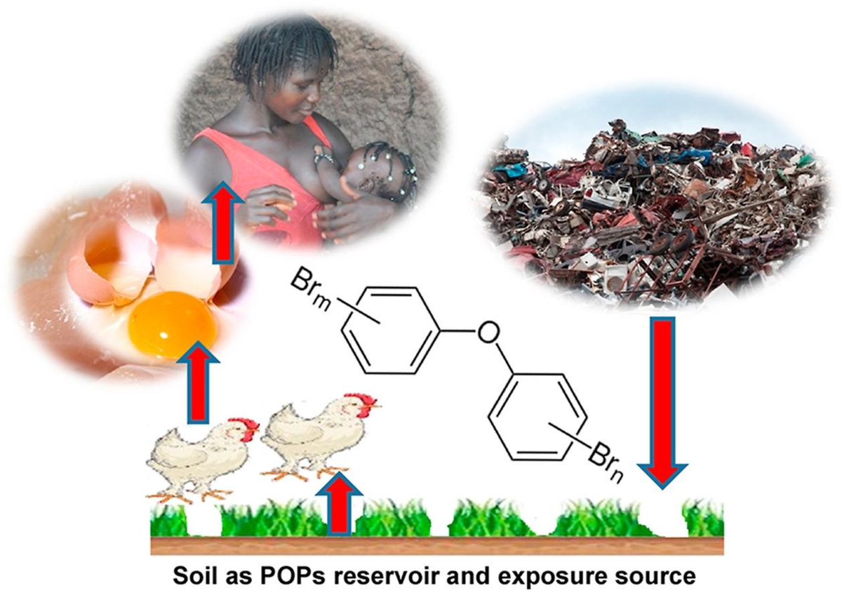 사이언스타임즈