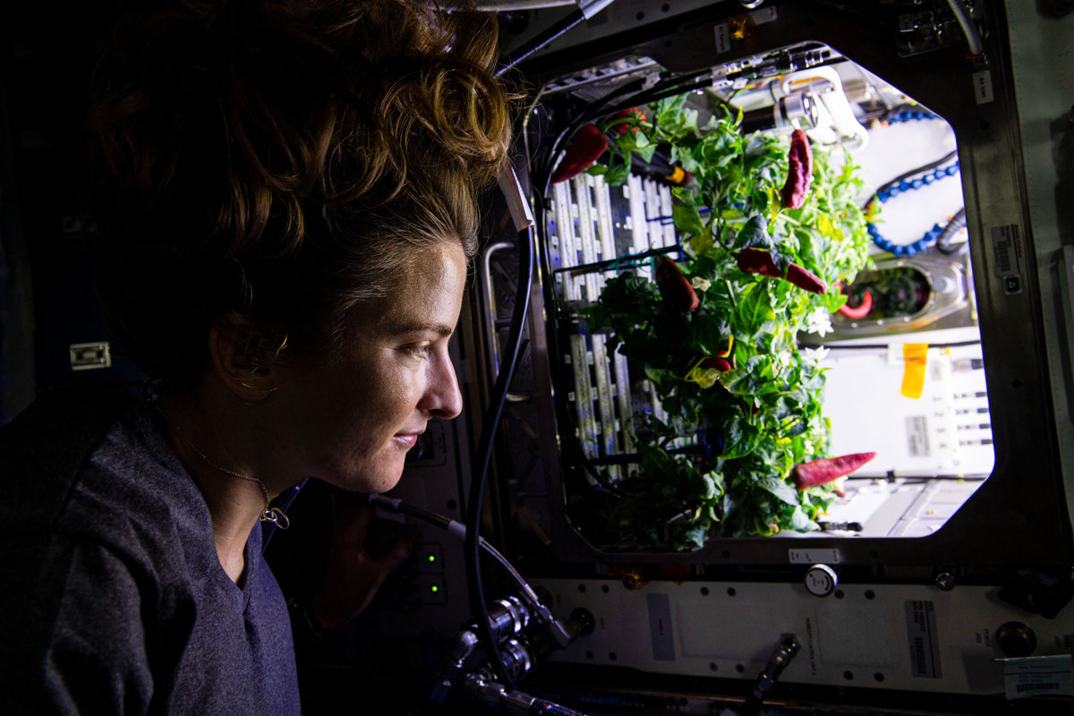 Advancements in Growing Plants in Space: Towards Self-Sufficiency in ...